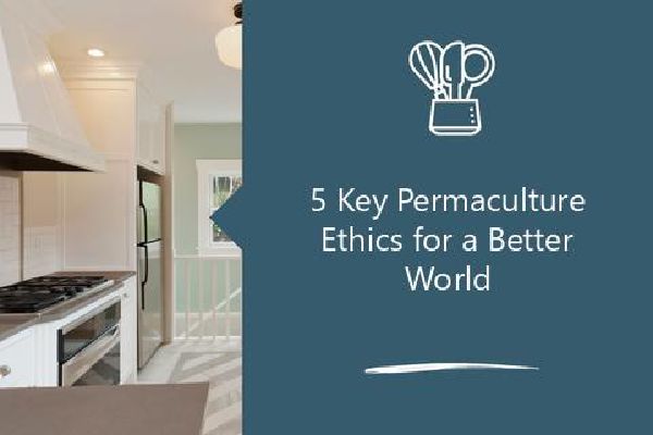 5 Key Permaculture Ethics for a Better World | Planet 997