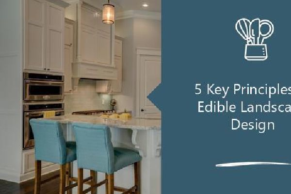 5 Key Principles of Edible Landscape Design | Planet 997