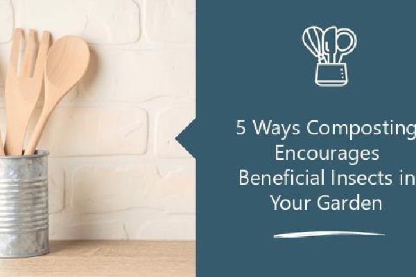 5 Ways Composting Encourages Beneficial Insects in Your Garden | Planet 997