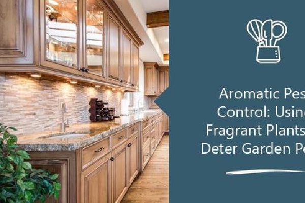 Aromatic Pest Control: Using Fragrant Plants to Deter Garden Pests ...