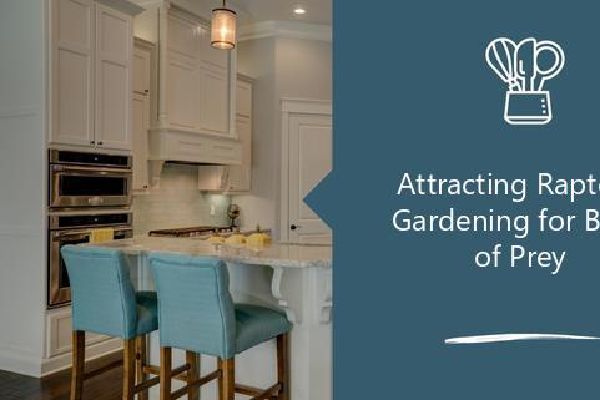 Attracting Raptors: Gardening for Birds of Prey | Planet 997