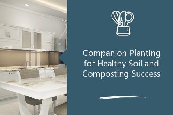 Companion Planting for Healthy Soil and Composting Success | Planet 997
