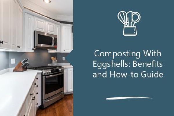 Composting With Eggshells: Benefits and How-to Guide | Planet 997