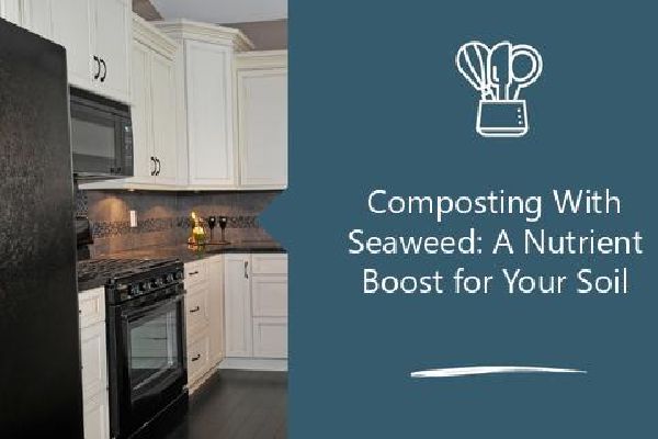 Composting With Seaweed: A Nutrient Boost for Your Soil | Planet 997
