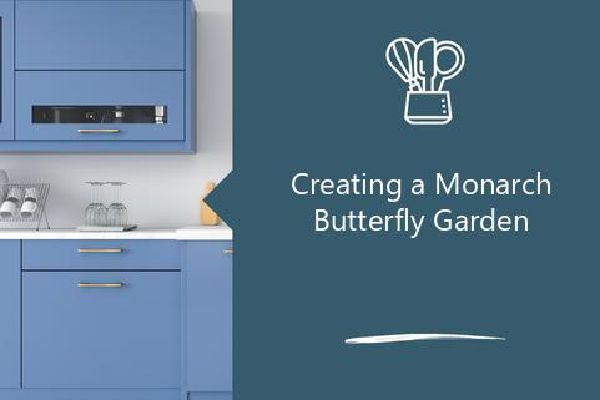 Creating a Monarch Butterfly Garden | Planet 997