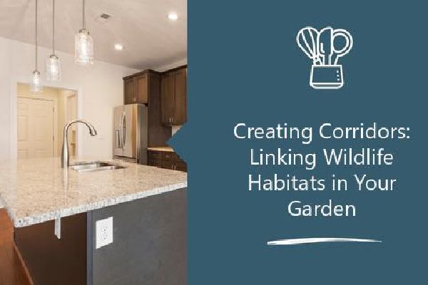 Creating Corridors: Linking Wildlife Habitats in Your Garden | Planet 997