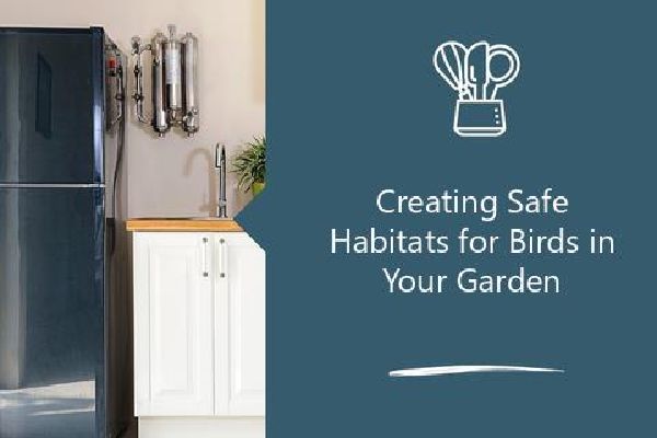 Creating Safe Habitats for Birds in Your Garden | Planet 997