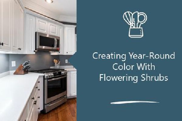 Creating Year-Round Color With Flowering Shrubs | Planet 997