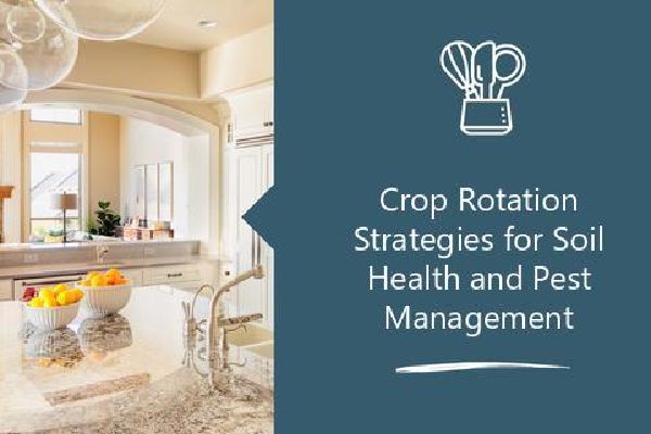 Crop Rotation Strategies for Soil Health and Pest Management | Planet 997
