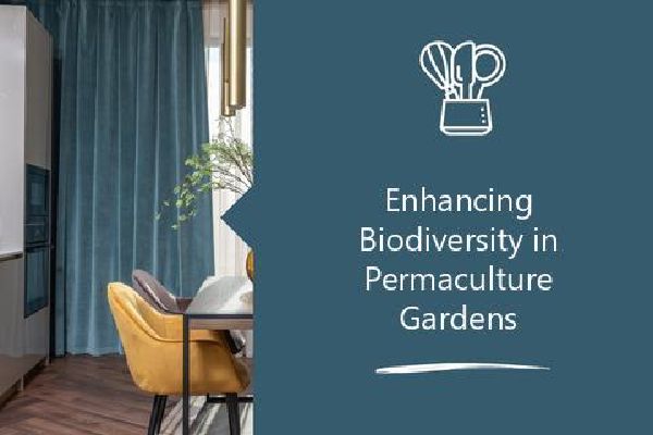 Enhancing Biodiversity in Permaculture Gardens | Planet 997
