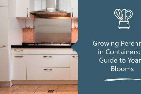 Growing Perennials in Containers: A Guide to Yearly Blooms | Planet 997