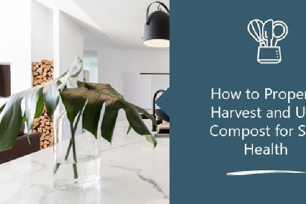 How to Properly Harvest and Use Compost for Soil Health | Planet 997