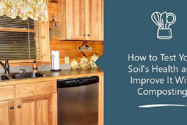 How to Test Your Soil's Health and Improve It With Composting | Planet 997