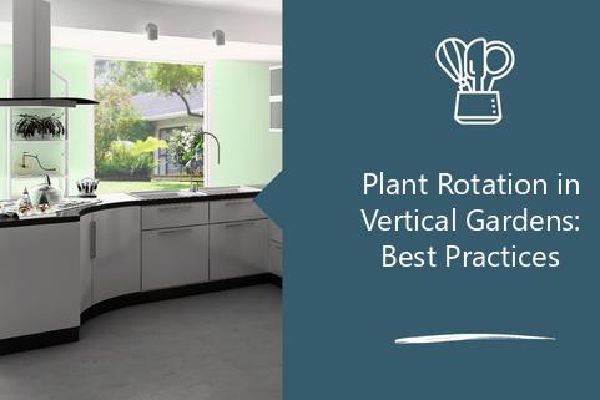 Plant Rotation in Vertical Gardens: Best Practices | Planet 997