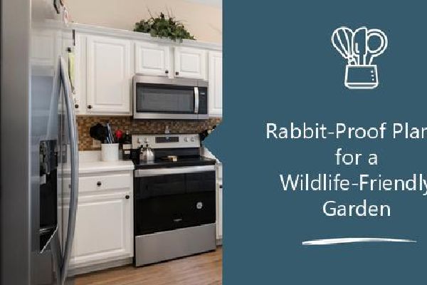 Rabbit-Proof Plants for a Wildlife-Friendly Garden | Planet 997