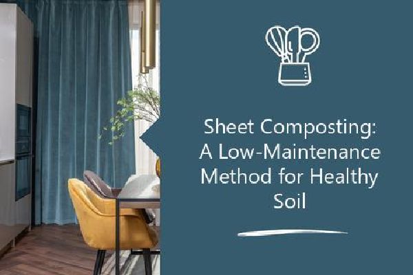 Sheet Composting: A Low-Maintenance Method for Healthy Soil | Planet 997