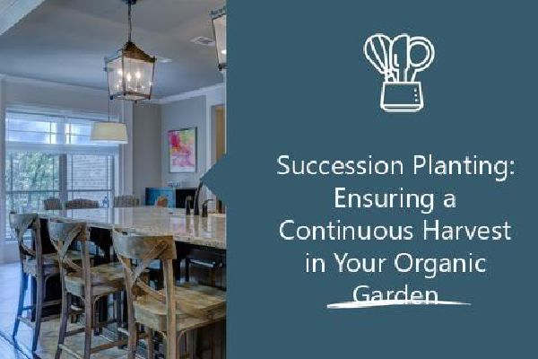 Succession Planting: Ensuring a Continuous Harvest in Your Organic ...