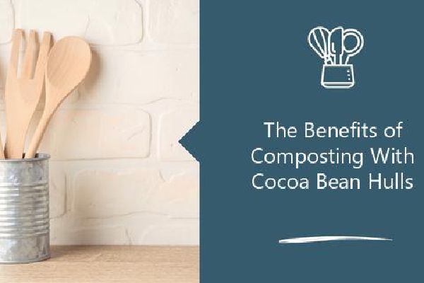 The Benefits of Composting With Cocoa Bean Hulls | Planet 997