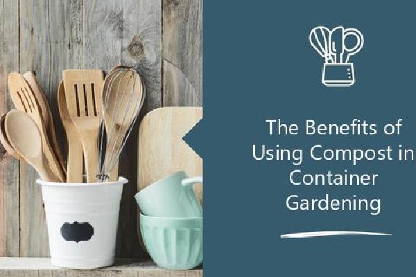 The Benefits of Using Compost in Container Gardening | Planet 997
