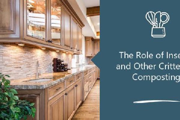 The Role of Insects and Other Critters in Composting | Planet 997