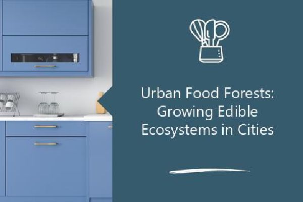 Urban Food Forests: Growing Edible Ecosystems in Cities | Planet 997