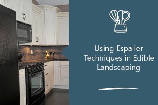 Using Espalier Techniques in Edible Landscaping | Planet 997