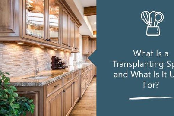 What Is a Transplanting Spade and What Is It Used For? | Planet 997