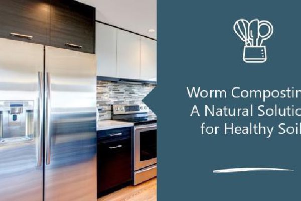 Worm Composting: A Natural Solution for Healthy Soil | Planet 997